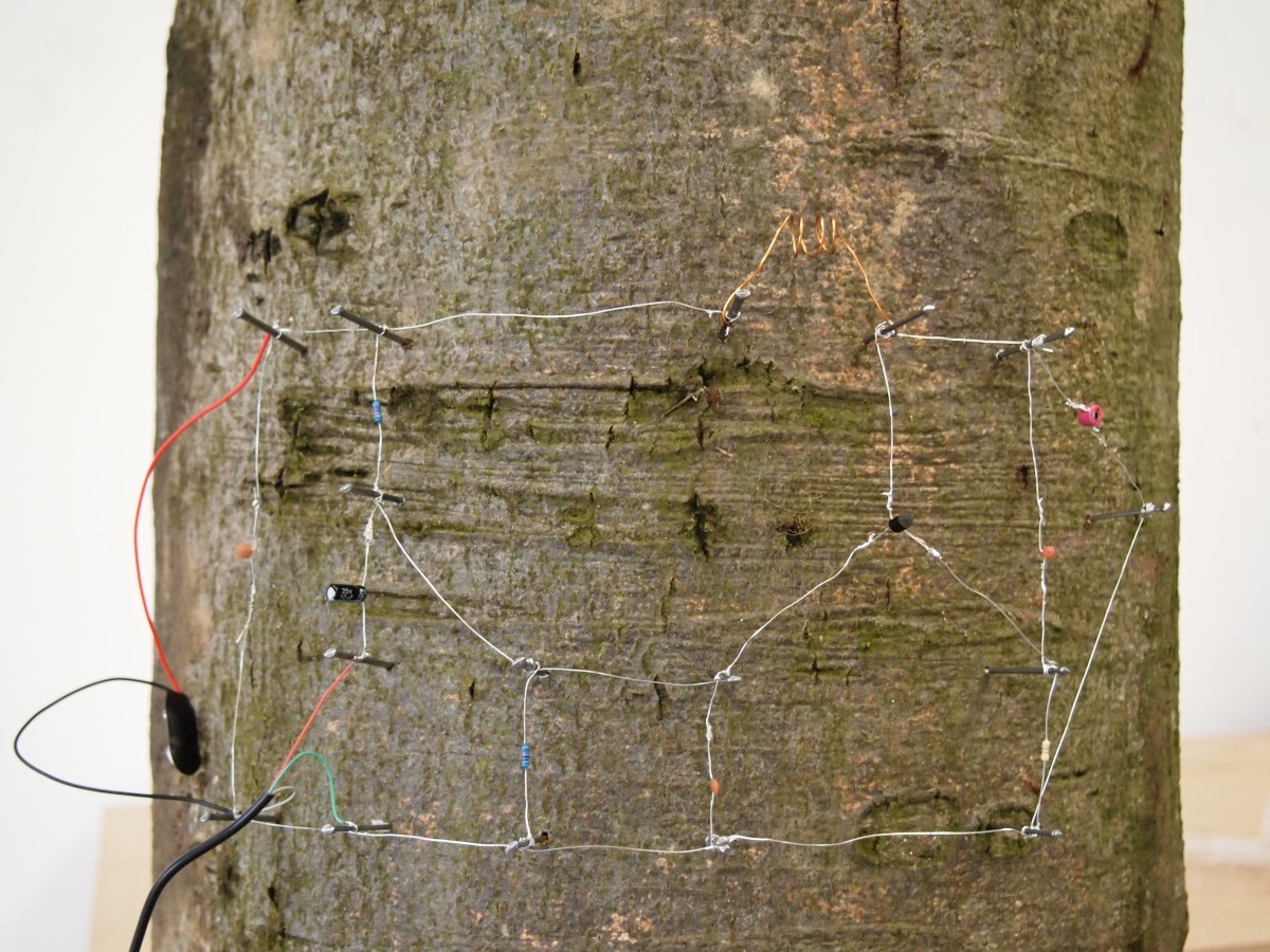 Tree Radio Tests July at YSP – Magz Hall